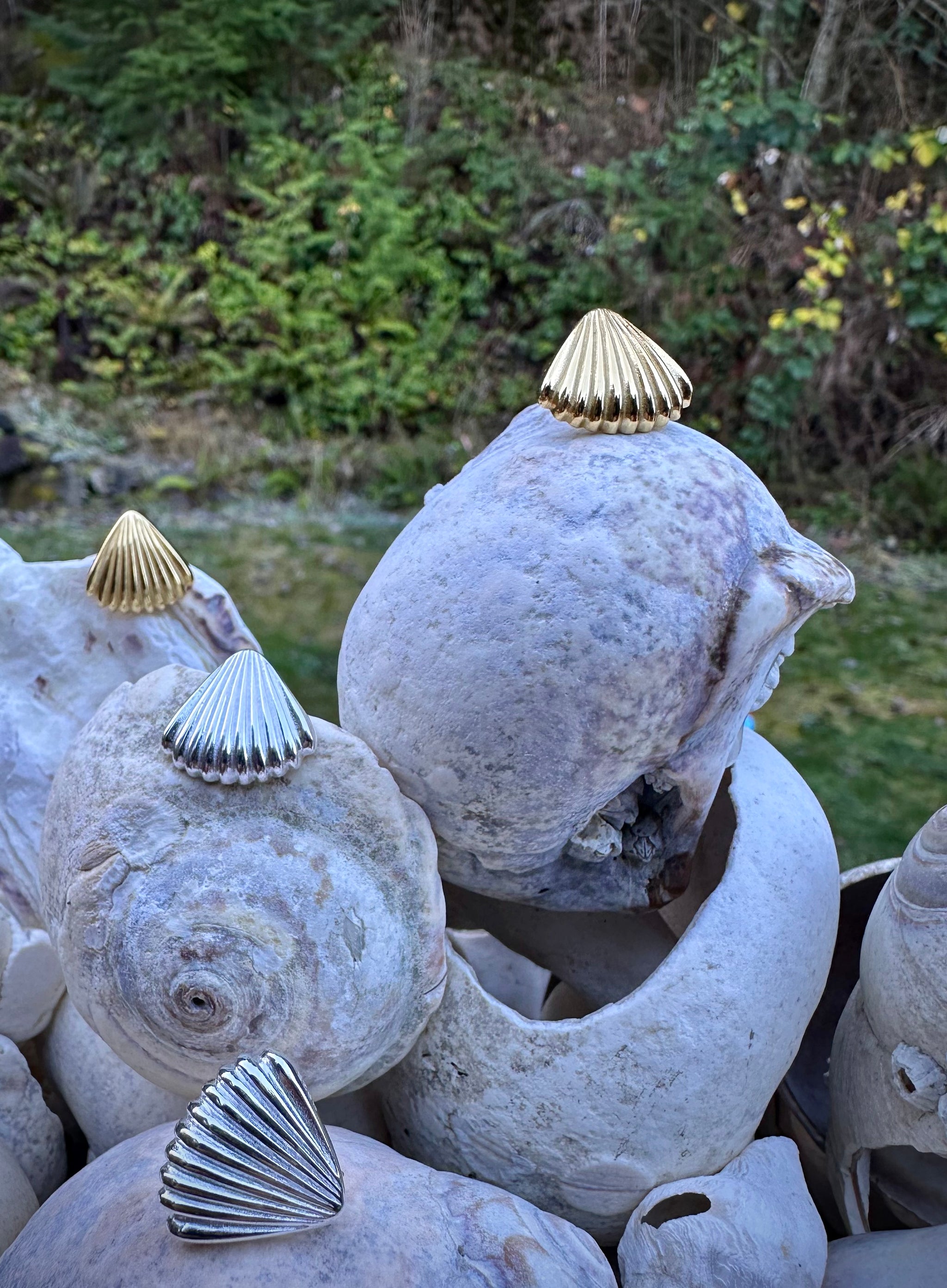 Shell Earrings